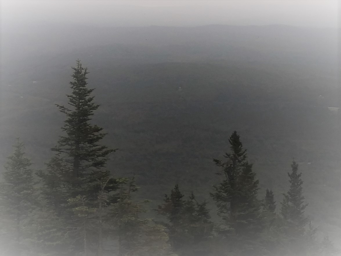 Overcoming Leadership Fog – The Maximum Standard