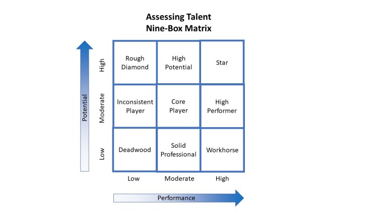 When Performance Meets Potential: The Nine Box Matrix – The Maximum ...