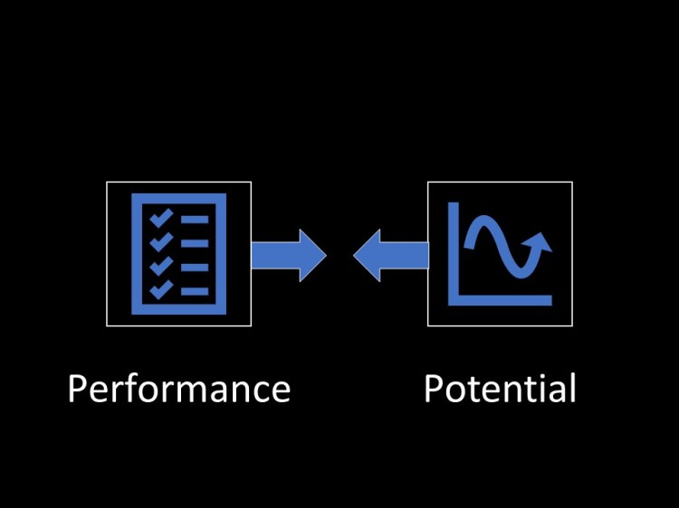 When Performance Meets Potential: The Nine Box Matrix – The Maximum ...