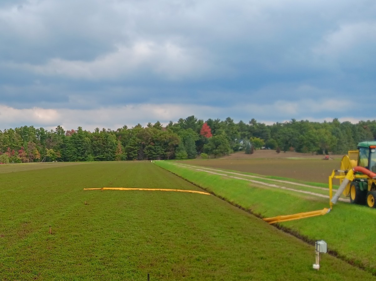 CranFest: The Inside Matters Most – The Maximum Standard